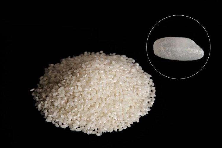 Arroz Redondo